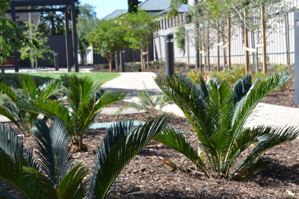 The Jamie Larcombe Centre – Delivered! – Elton Landscapes